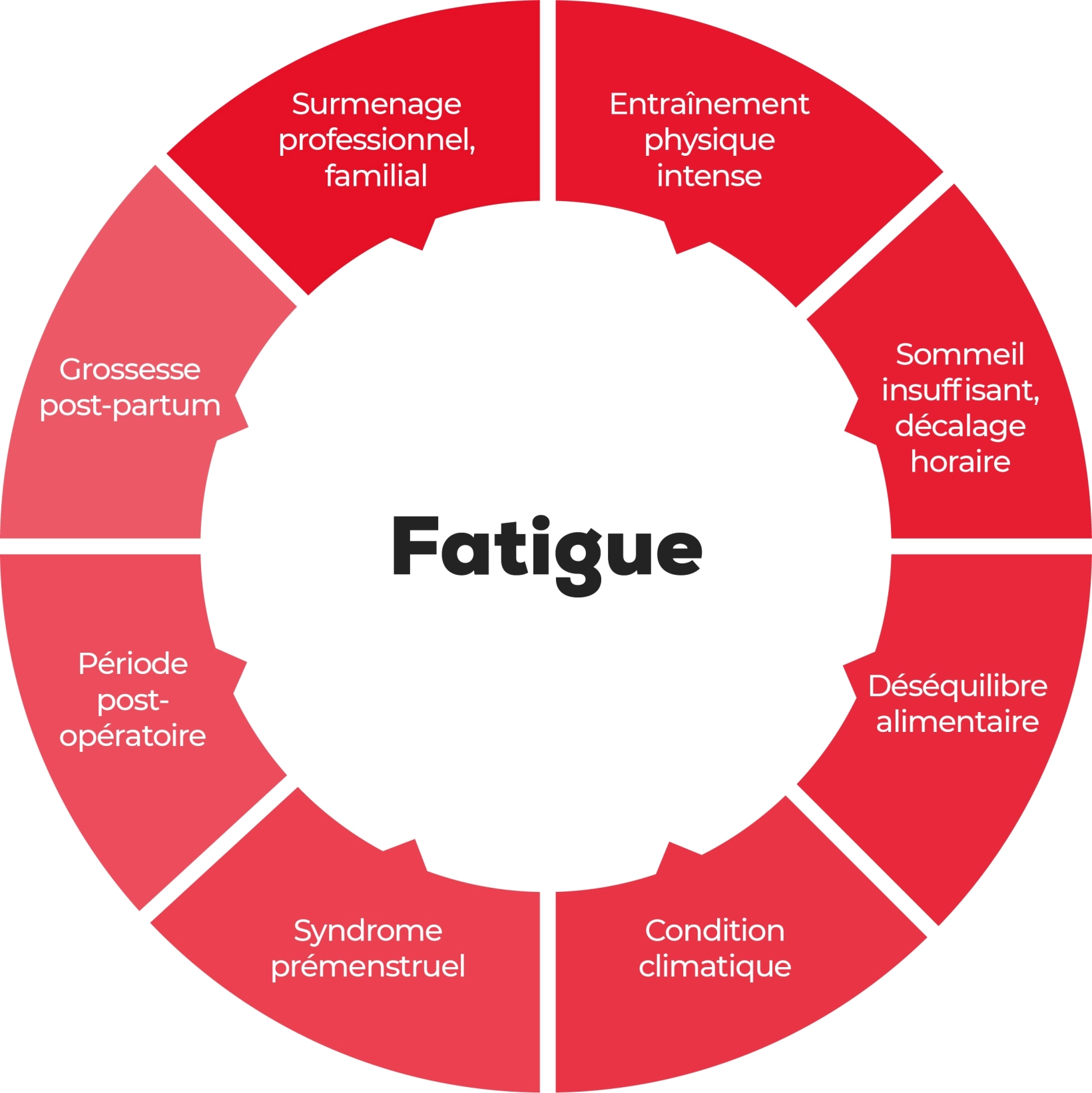 Tout savoir sur l'énergie : comprendre et combattre la fatigue ...